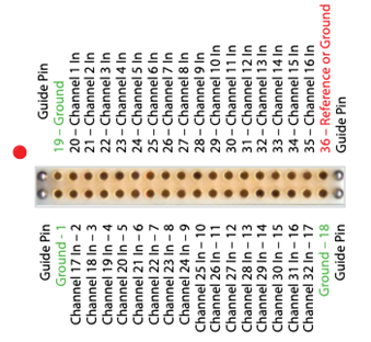 Beyond the Spikes: Electroencephalography (EEG) and Electromyography (EMG) in Animal Research ...