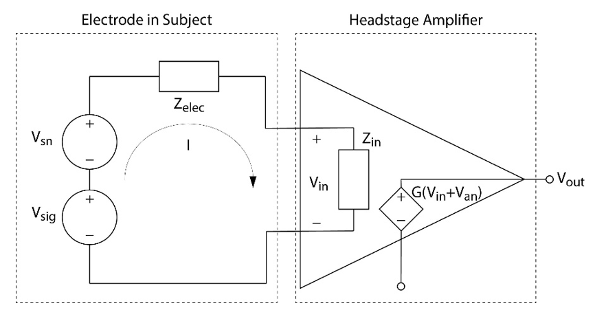 Electrode Impedance: What it is, and How it Affect the Quality of Electrophysiological Signals ...